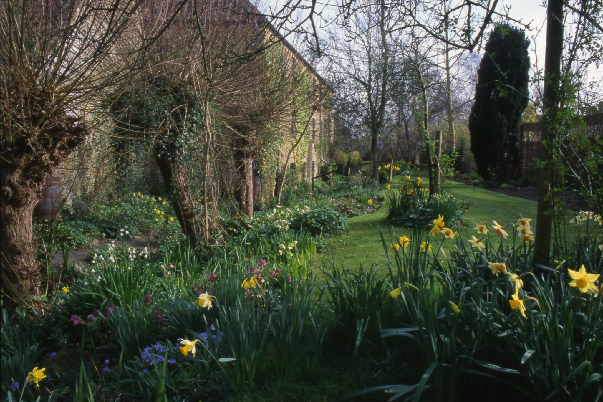 Gardeners you should know: Margery Fish - Garden Museum