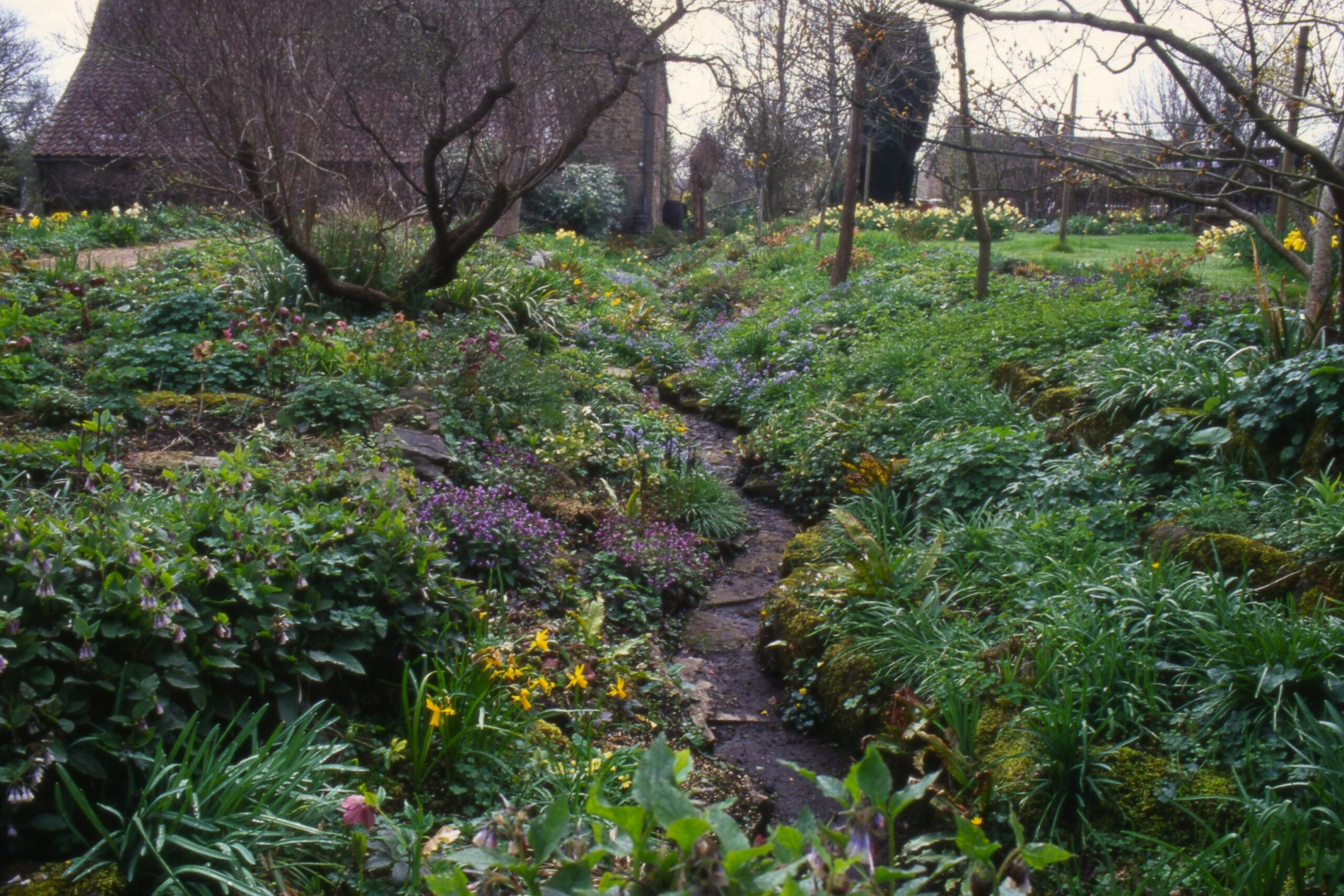 Gardeners you should know: Margery Fish - Garden Museum