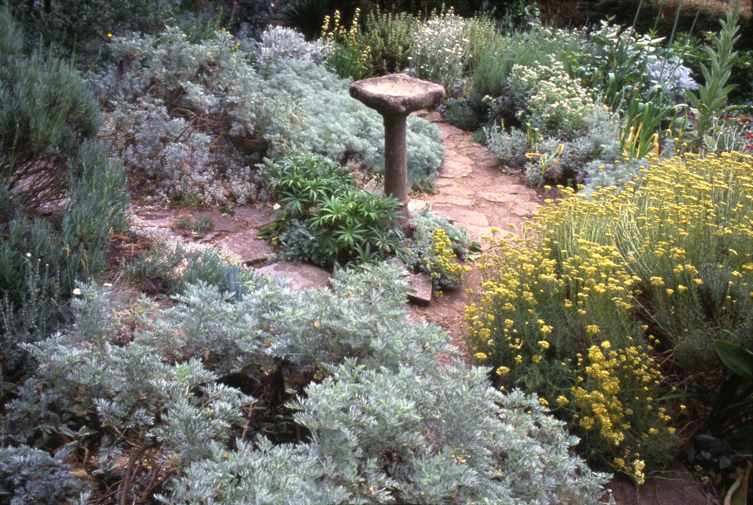 Gardeners you should know: Margery Fish - Garden Museum