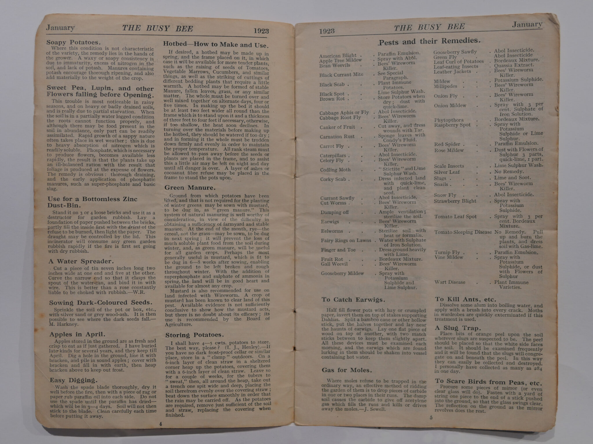Titchmarsh Treasures: Highlights from the Alan Titchmarsh Archive ...