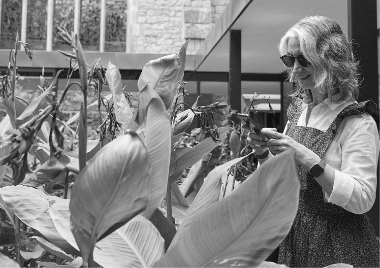 Films - Garden Museum