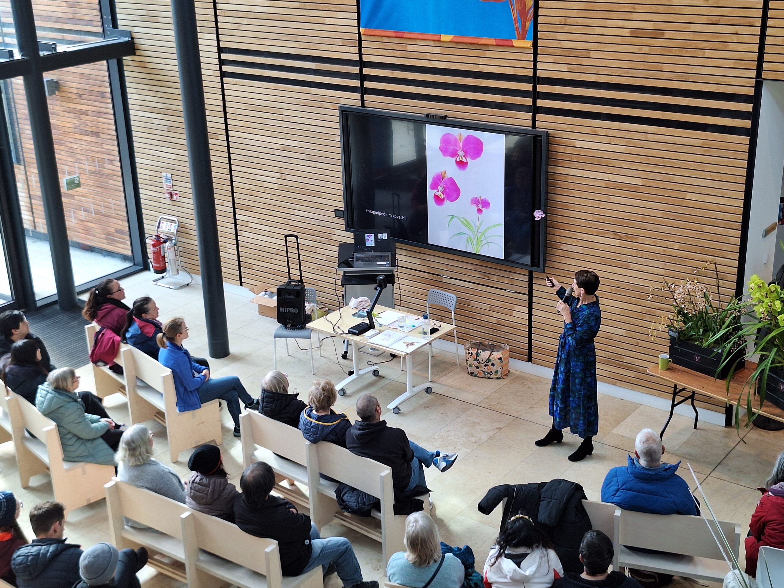 A Q&A with RHS Orchid Artist Deborah Lambkin - Garden Museum