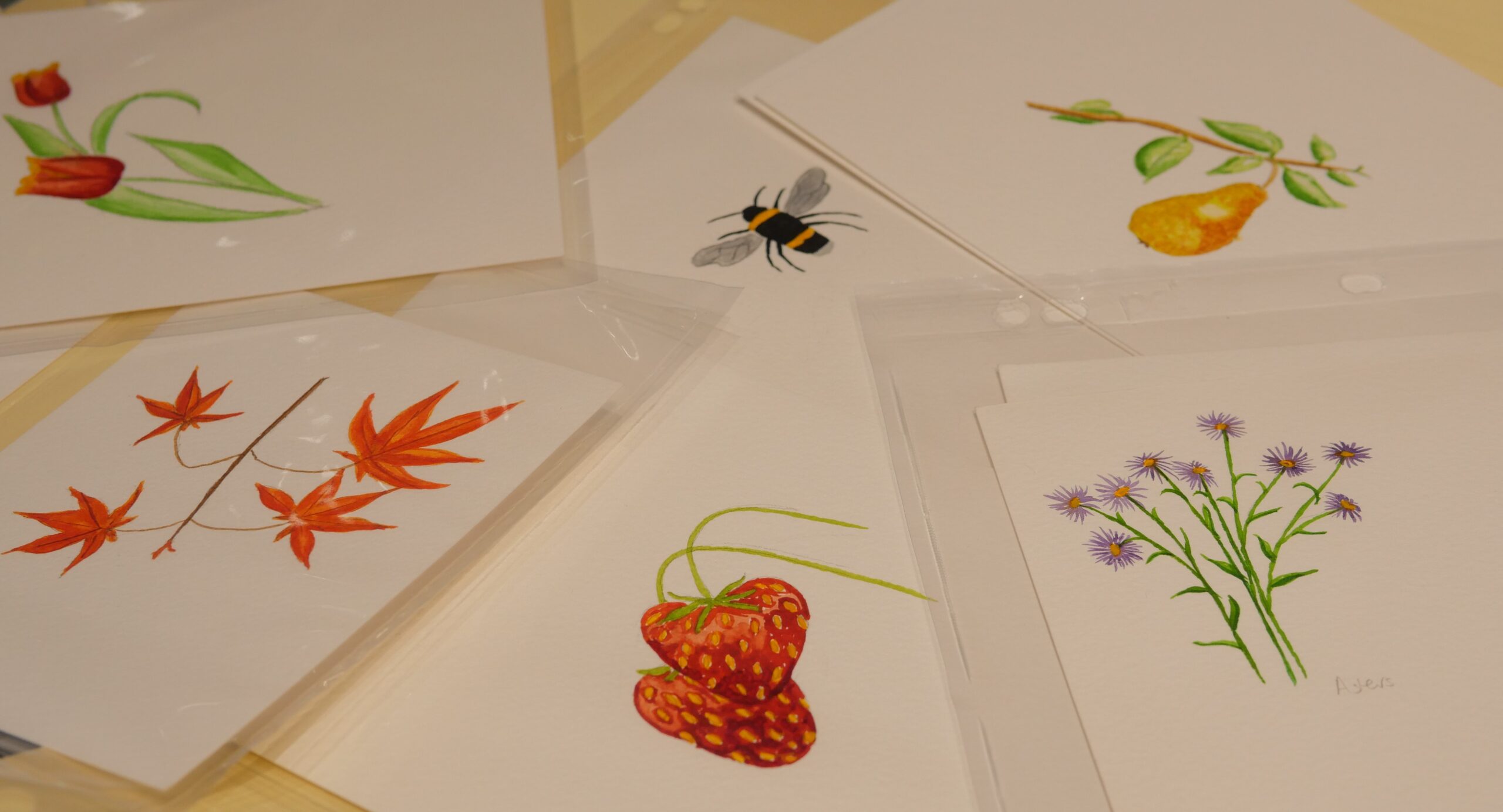 Titchmarsh Treasures: Highlights from the Alan Titchmarsh Archive ...
