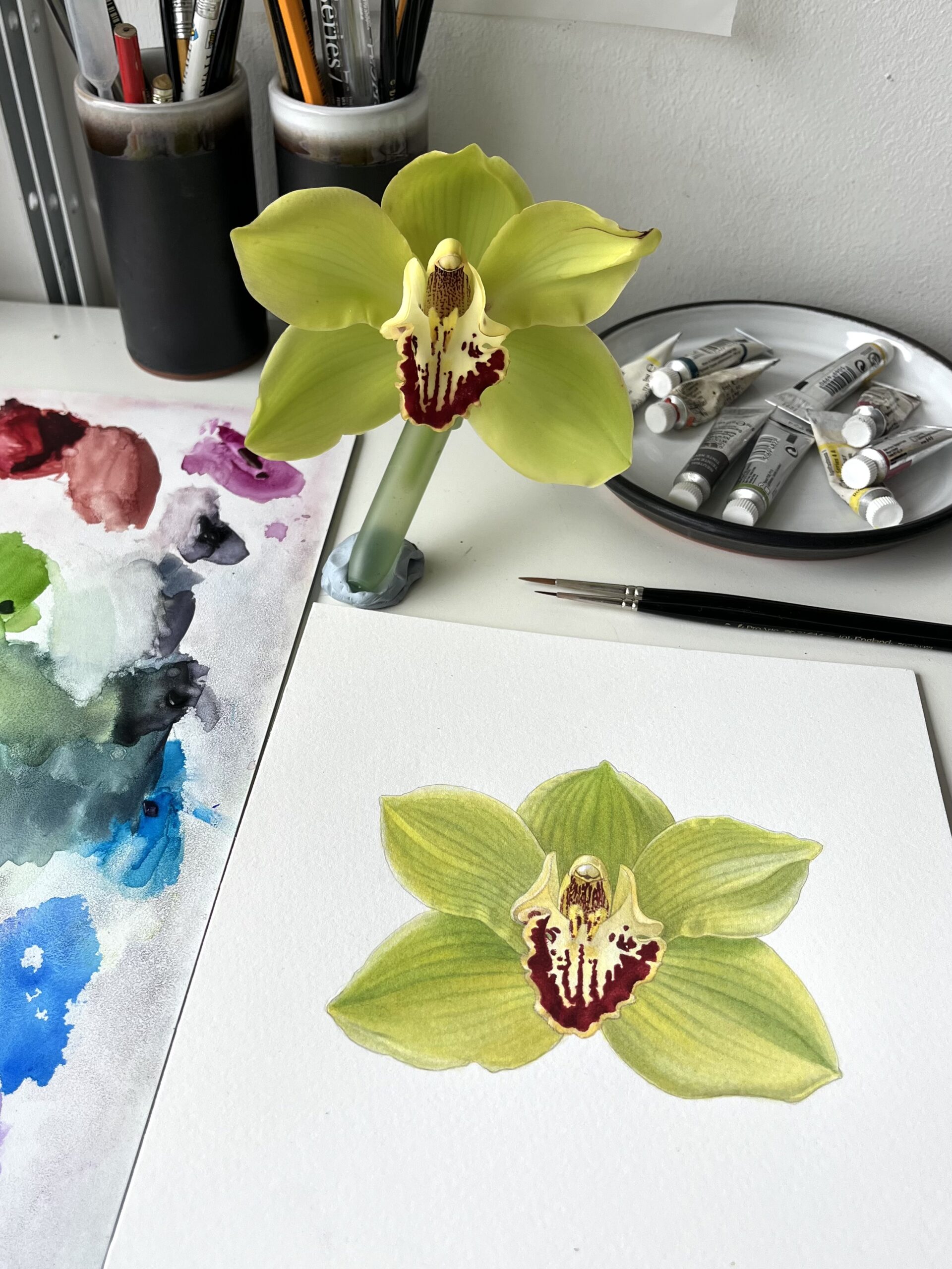 A Q&A with RHS Orchid Artist Deborah Lambkin - Garden Museum